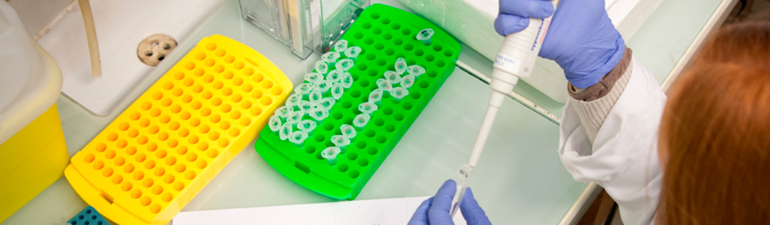 Alzprotect - Alzprotect Completes Phase 2a Clinical Trial Enrollment ...